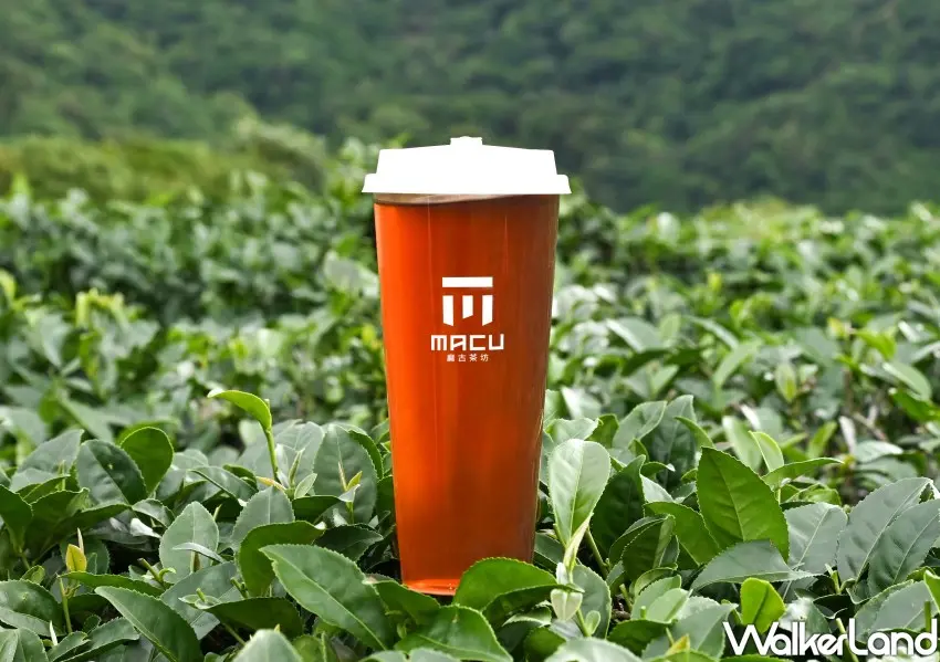 飲料買一送一喝！麻古茶坊買一送一7天限定，一次最多買10杯走。 |美食|WalkerLand窩客島